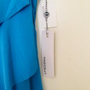 Magicsuit | Swim | Magicsuit Solid Dd Rita Tankini Azure Womens ...